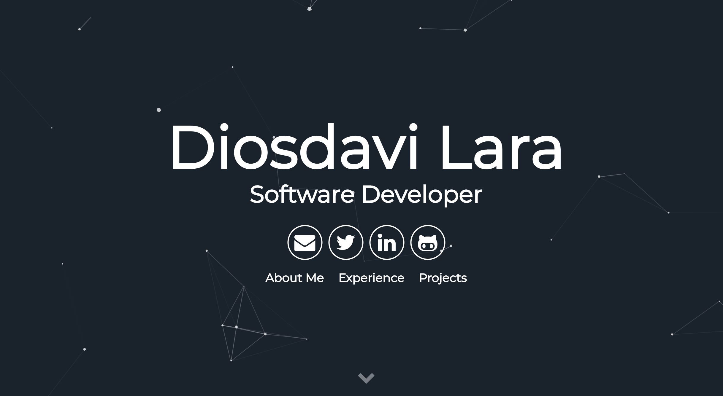 Diosdavi Lara | Full-Stack Web Developer